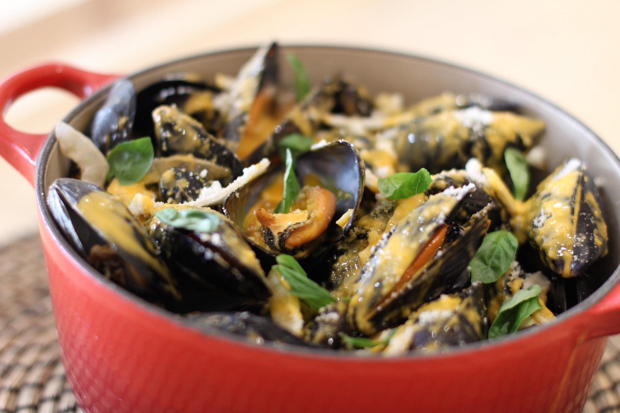 El Cótxina Fest porta a Colón una tona de clòtxina valenciana