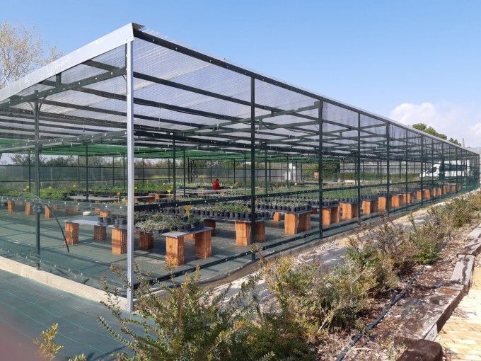 Un nuevo invernadero para garantizar la vegetación autóctona de la Devesa